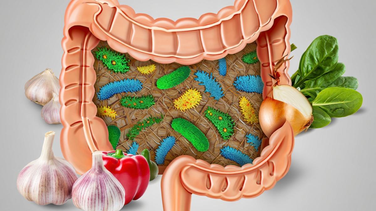 Un simplu ingredient din bucătărie îți reface flora intestinală natural ...